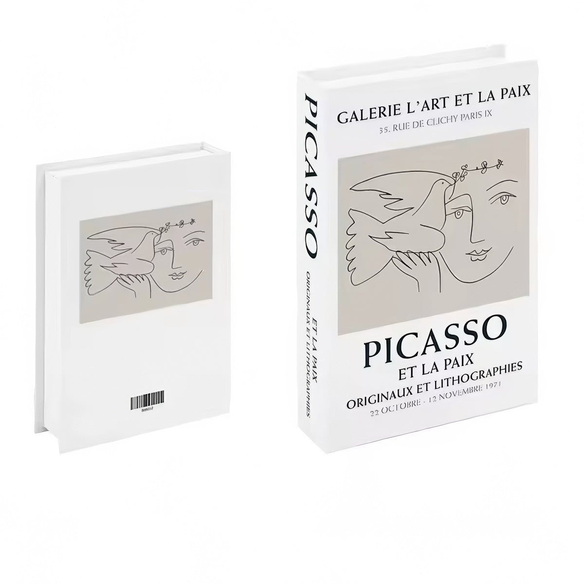 Picasso Art Faux Book Storage Box Set – Minimalist Decorative Organizer ...