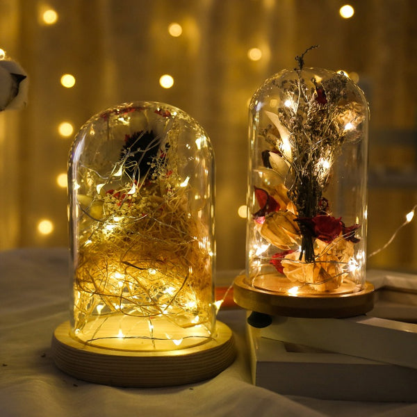 Wire String Fairy Lights - Shop Online on roomtery