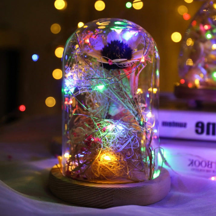 Wire String Fairy Lights - Shop Online on roomtery