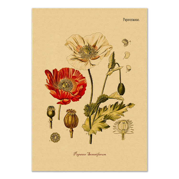 Aesthetic Paper Posters: Kraft Paper & Cardboard Wall Prints - roomtery